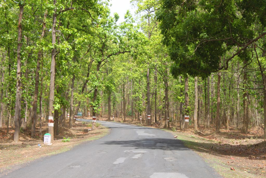 Amarkantak: Where River Narmada and Sone Originates… | Travelosthan.com